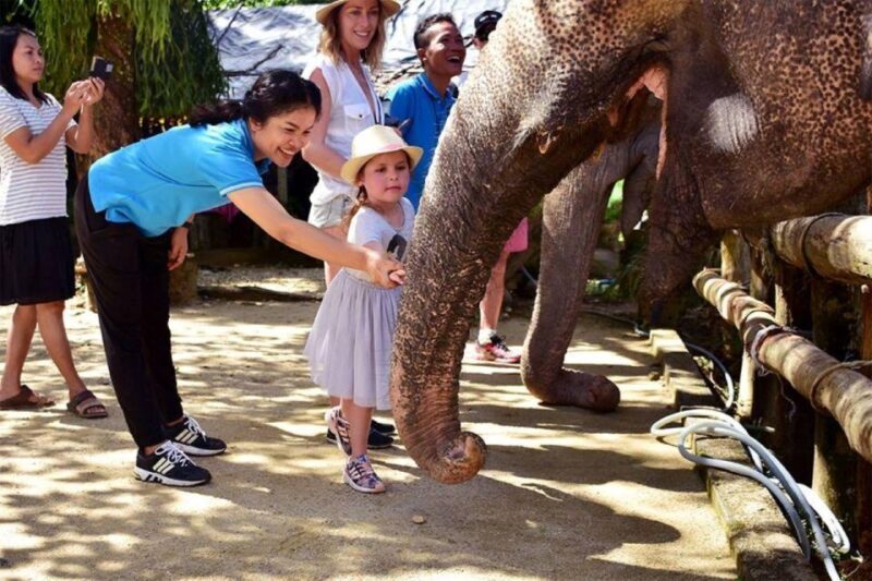 Khao Lak: Elephant Sanctuary Guided Tour - Whats Included & Excluded