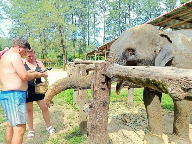 Khao Lak: Elephant Sanctuary Guided Tour - The Experiences Real Value