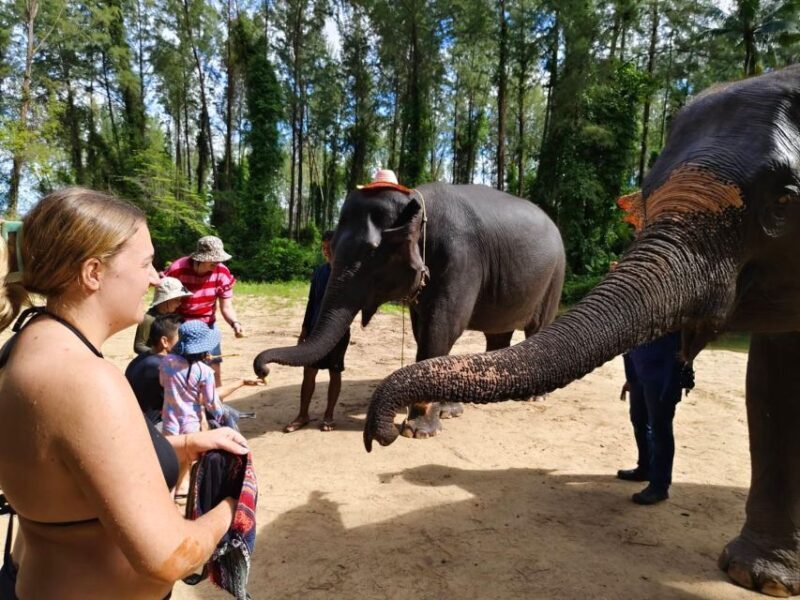 Khao Lak: Elephant Sanctuary Guided Tour - The Sum Up