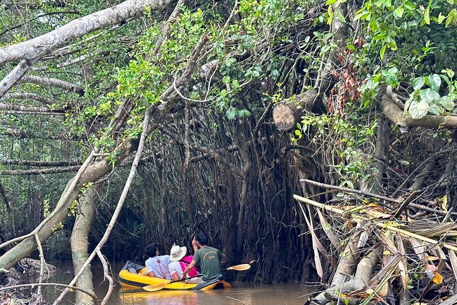 Khao Lak Elephant Sanctuary Visit and Mangrove Kayak Tour - Who This Tour Is Best For