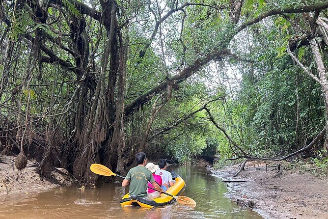 Khao Lak Elephant Sanctuary Visit and Mangrove Kayak Tour - FAQ