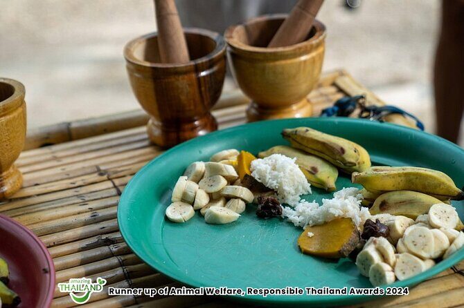 Khao Lak Ethical Elephant Sanctuary Conservation Experience - Practical Considerations