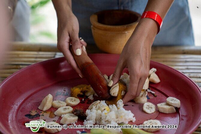 Khao Lak Ethical Elephant Sanctuary Conservation Experience - Who Should Consider This Tour?