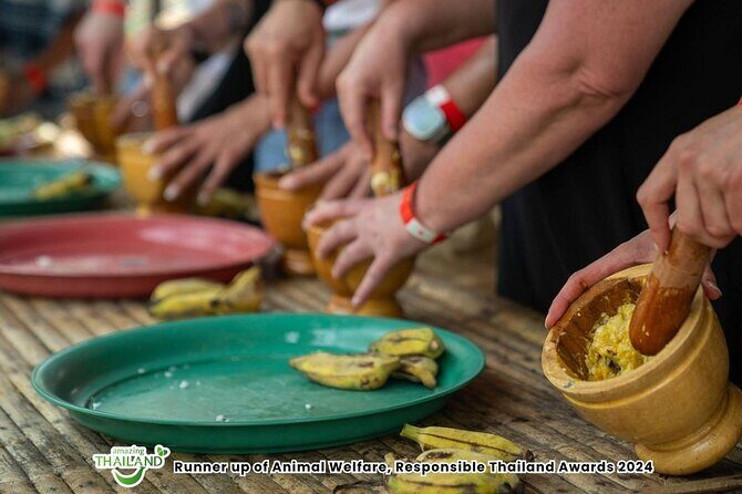 Khao Lak Ethical Elephant Sanctuary Conservation Experience - Final Thoughts