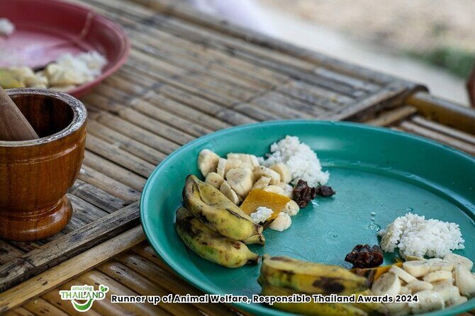 Khao Lak Ethical Elephant Sanctuary Conservation Experience - FAQs