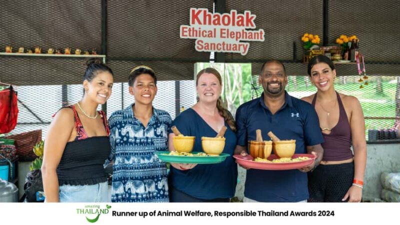 Khao Lak: Ethical Elephant Sanctuary Overnight Adventure - Introduction: Authenticity and Respect in Elephant Encounters
