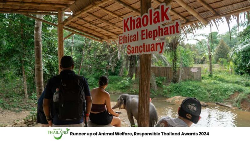 Khao Lak: Ethical Elephant Sanctuary Overnight Adventure - Deep Diving into the Itinerary