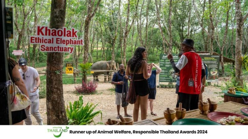 Khao Lak: Ethical Elephant Sanctuary Overnight Adventure - Authenticity and Value