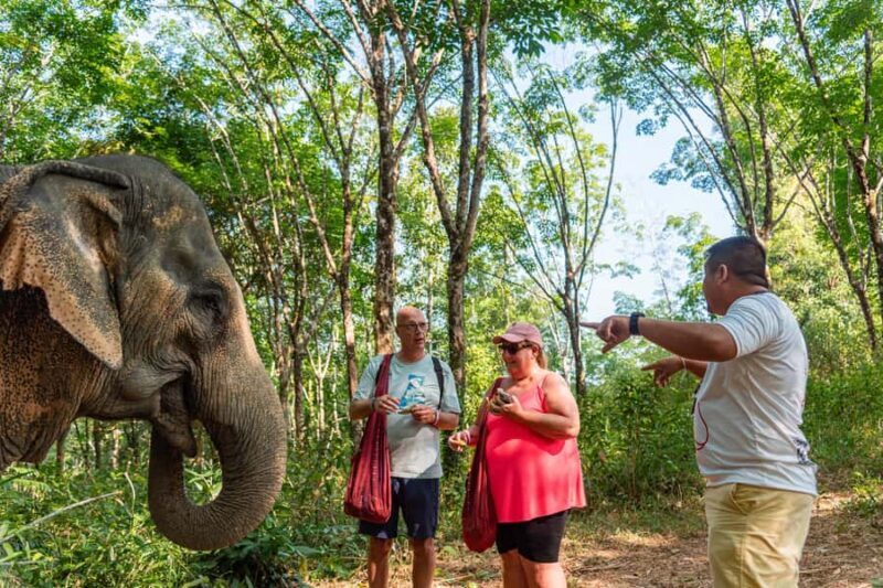 Khao Lak: Ethical Elephant, Zipline & ATV Premium Combo - Final Thoughts