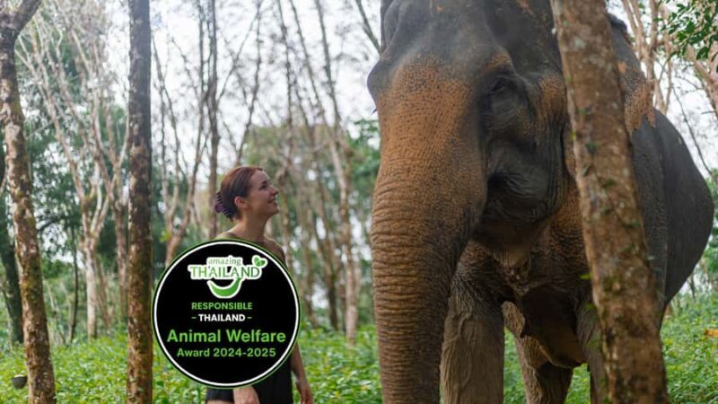 Khao Lak: Ethical Elephants & Zipline Combo Tour - Key Points
