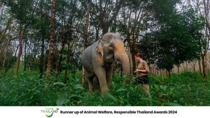 Khao Lak: Ethical Elephants & Zipline Combo Tour - An Honest Look at the Tour Experience