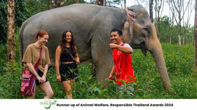 Khao Lak: Ethical Overnight Elephant Sanctuary Experience - Detailed Breakdown of the Itinerary
