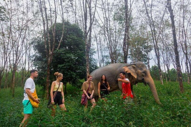 Khao Lak Guided Nature Walk & Elephant Experience - Introduction