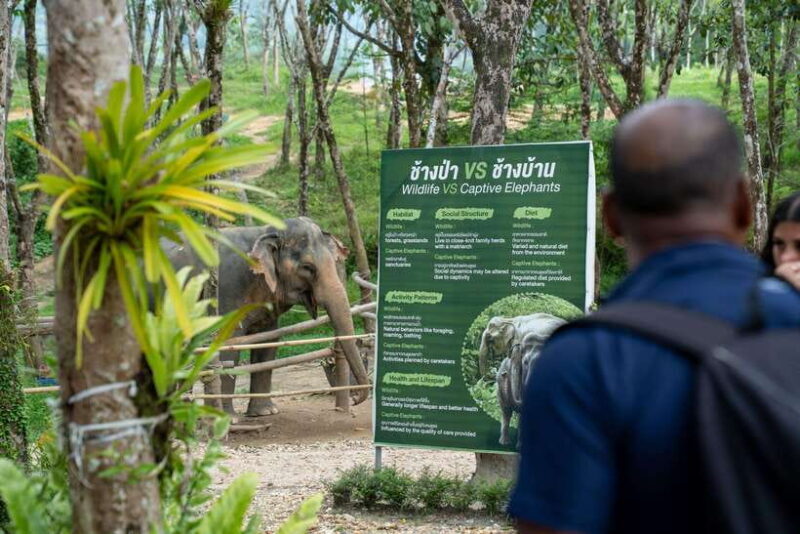Khao Lak Guided Nature Walk & Elephant Experience - Final Thoughts