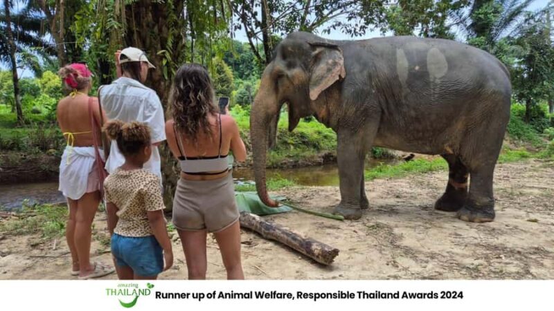 Khao Lak: Guided Tour to Elephant Sanctuary & Hotel Transfer - An Honest Look at the Experience