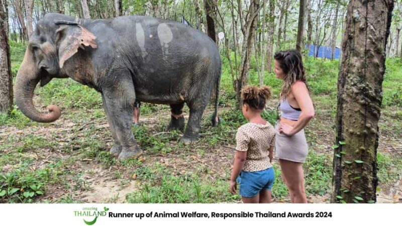 Khao Lak: Guided Tour to Elephant Sanctuary & Hotel Transfer - Who Is This Tour Best For?