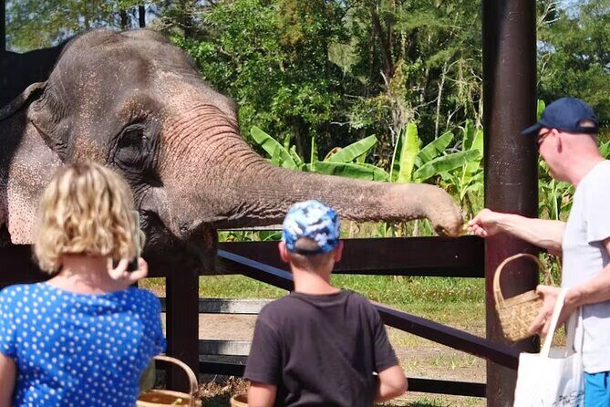Khao Lak Highlights Tour with Buddhist Temple Blessing - FAQ