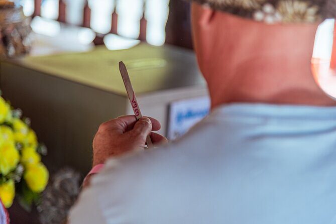 Khao Lak Highlights with Temple Turtles and Elephants Tours - What Travelers Are Saying