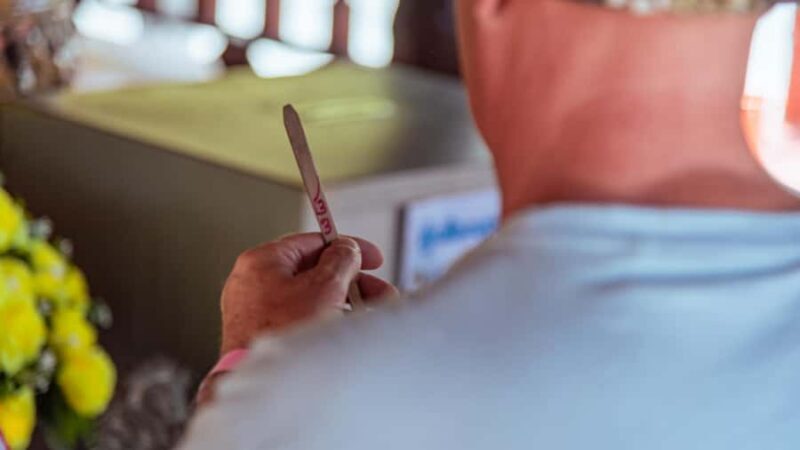 Khao Lak: Highlights with Temple, Turtles & Elephants Tours - An In-Depth Look at the Tour Experience