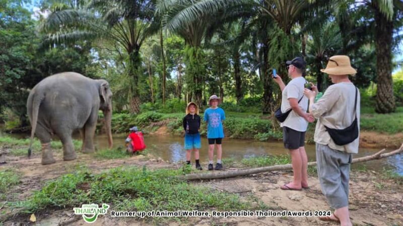 Khao Lak: Highlights with Temple, Turtles & Elephants Tours - Authenticity and Value