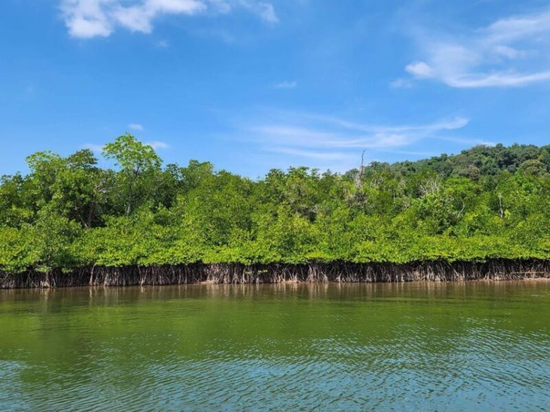 Khao Lak: Khao Na Yak Sightseeing & Snorkeling Small Group - Key Points