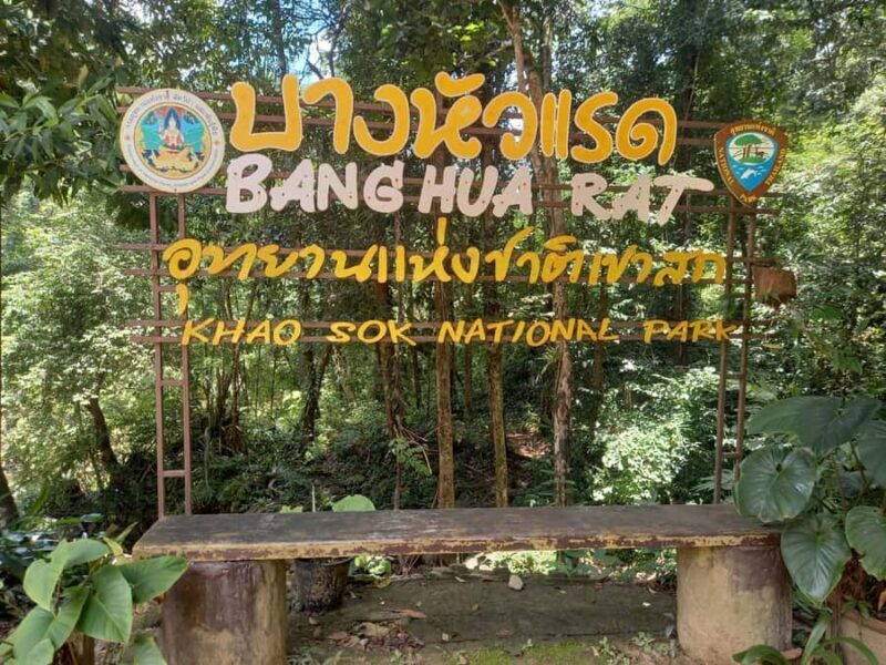 Khao Lak: Khao Sok Elephant Sanctuary and Night Jungle Walk - Who Should Consider This Tour?