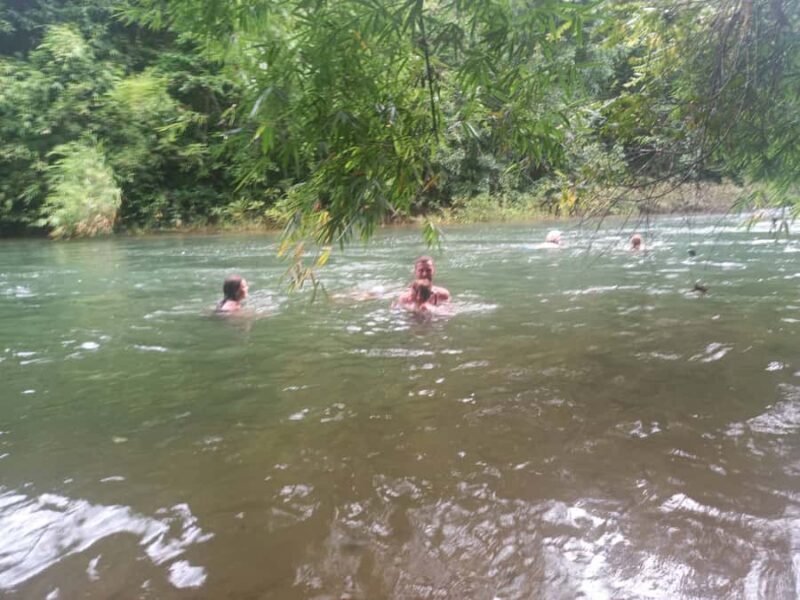 Khao Lak: Khao Sok Elephant Sanctuary and Night Jungle Walk - The Sum Up