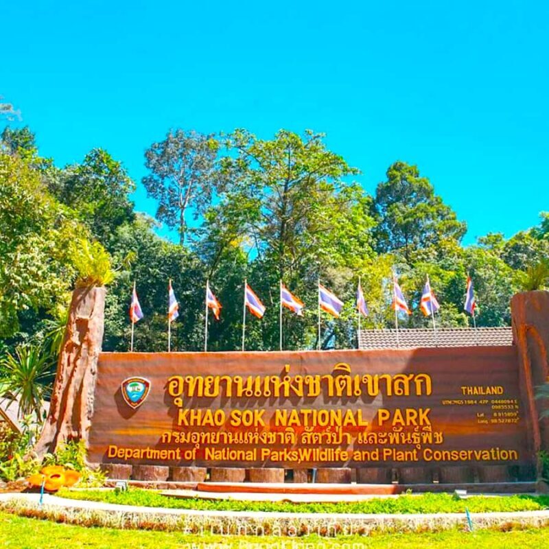 Khao Lak/Khao Sok : Khao Sok Trekking, Rafting, Lunch - The Value Proposition