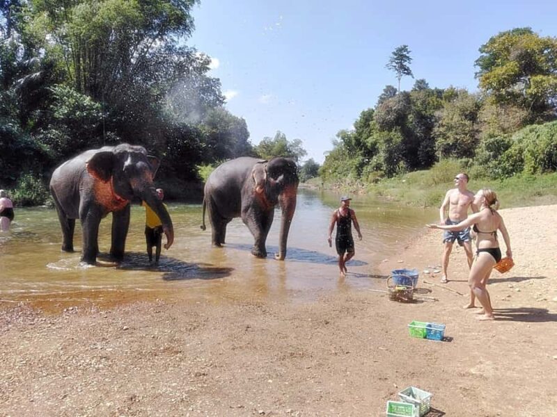 Khao Lak: Khao Sok Private Elephant Daycare & Bamboo Rafting - An Overview of the Experience
