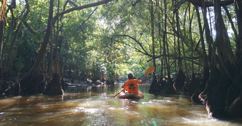 Khao Lak: Little Amazon Canoe Ride & Tam Nang Waterfall Tour - Key Points