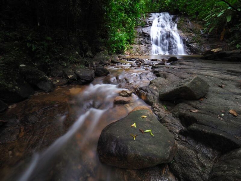 Khao Lak: Little Amazon Canoe Ride & Tam Nang Waterfall Tour - A Deep Dive Into the Experience