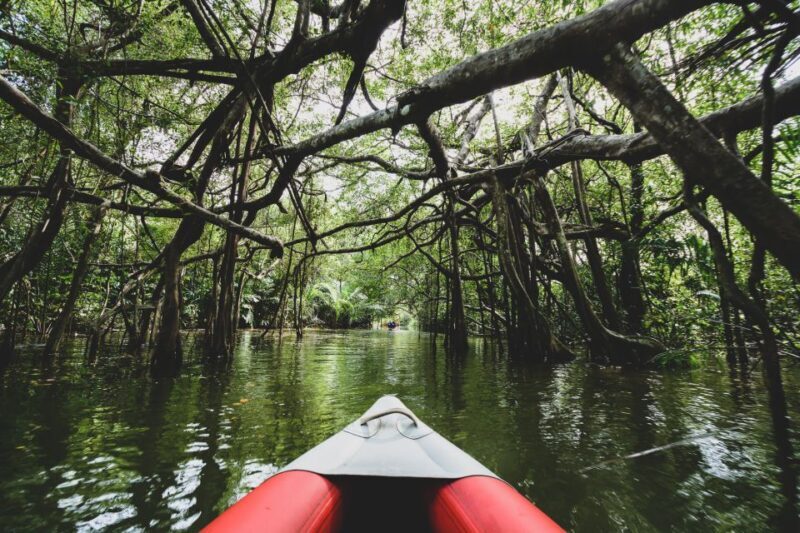 Khao Lak: Little Amazon Canoe Ride & Tam Nang Waterfall Tour - FAQ