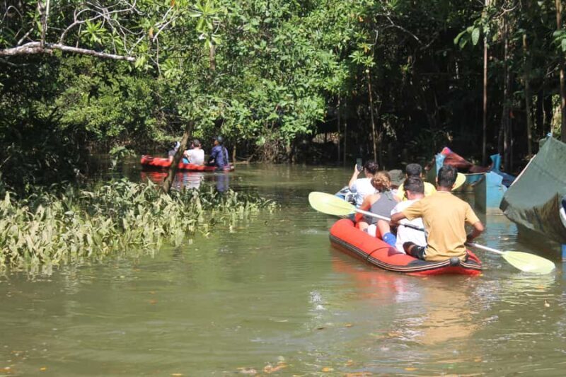 Khao lak: Little Amazon Canoe Trip to See Wildlife - Key Points