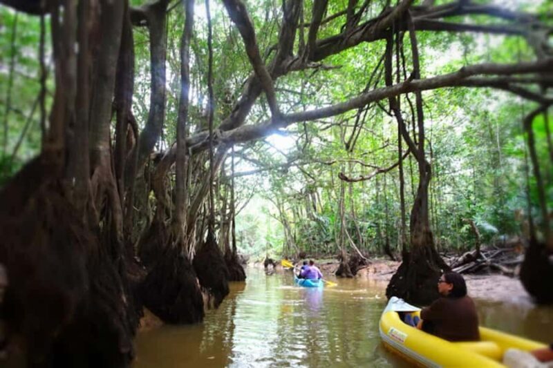 Khao lak: Little Amazon Canoe Trip to See Wildlife - FAQ