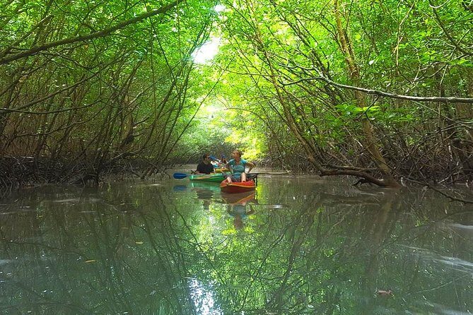 Khao Lak Mangrove Explorers - The Sum Up
