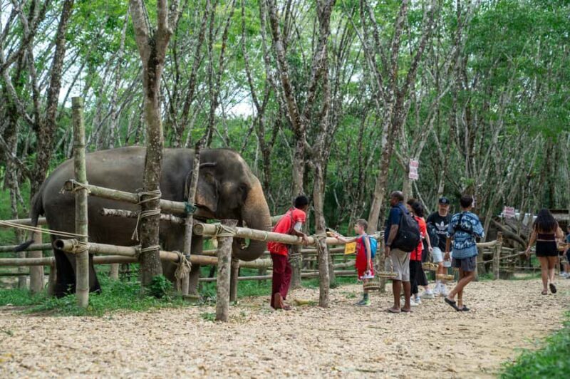 Khao Lak Multi-Adventure: Bamboo Rafting, ATV & Elephants - The Sum Up