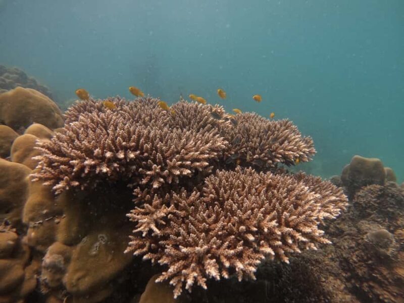 Khao Lak: Phi Phi & Bamboo Island Day Trip by Speedboat - Deep Dive: The Itinerary and Its Benefits