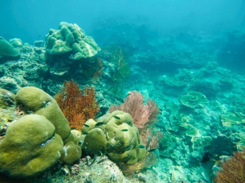 Khao Lak: Phi Phi & Bamboo Island Day Trip by Speedboat - Practical Details and Value