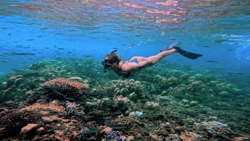 Khao Lak/Phuket: Platinum Surin Snorkel Escape by Powercat - A Detailed Look at the Tour Experience