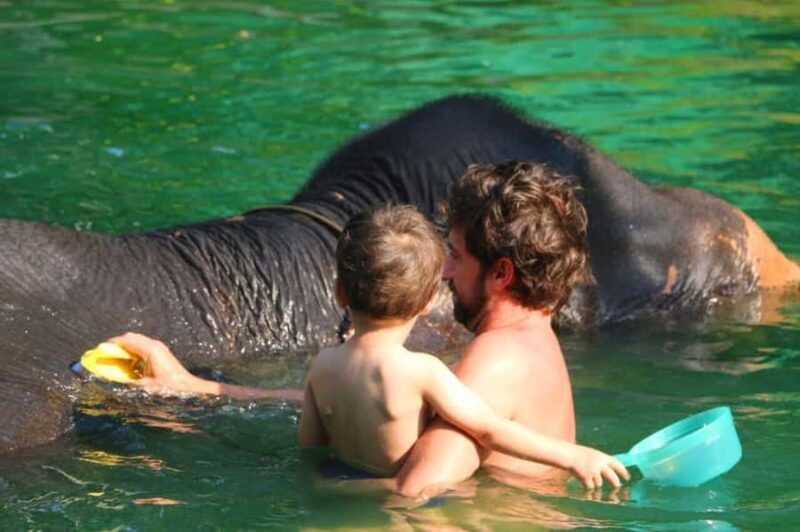 Khao Lak: Rafting, Elephant Bathing & Sea Turtle Center Tour - Practical Tips for Travelers