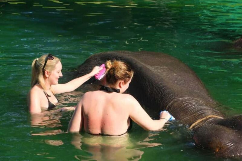 Khao Lak: Rafting, Elephant Bathing & Sea Turtle Center Tour - Authenticity and Value