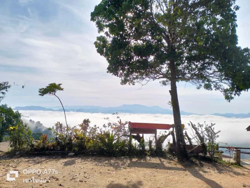 Khao Lak: Sea of Fog on Hill & Sunrise at Khao Khai Nui - Practical Details & Tips