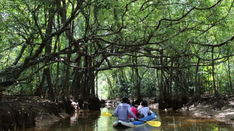 Khao Lak: Sri Phang Nga National Park and Takuapa Tour - Visiting Takuapa Market: A Slice of Local Life