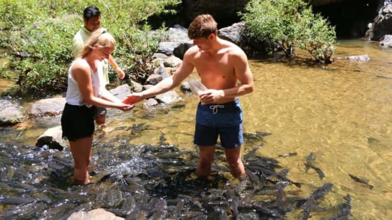 Khao Lak: Sri Phang Nga National Park and Takuapa Tour - Lunch and Rest: Savoring Thai Flavors