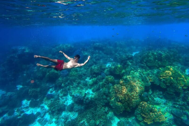 Khao Lak: Surin Islands Snorkeling Tour with Moken Village - What Makes This Tour Stand Out