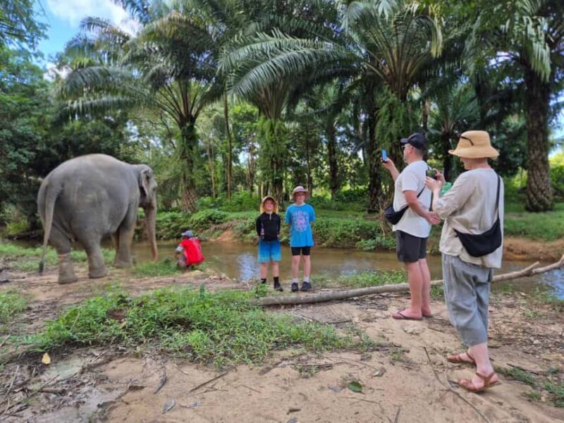 Khao Lak: Waterfall,Sea Turtle,Elephant Care,Meal & Transfer - Key Points