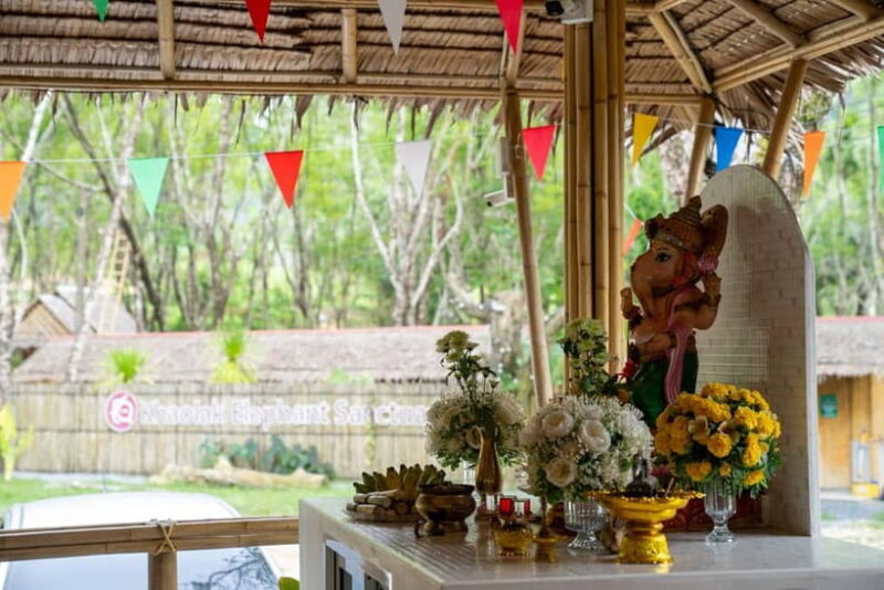 Khao Laks Best: Elephant Sanctuary,Rubber Tapping&Waterfall - Authentic Feedback from Travelers