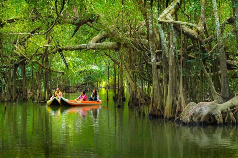 Khao Lak's Little Amazon: Canoe, Trek & Waterfall Day Trip - Key Points