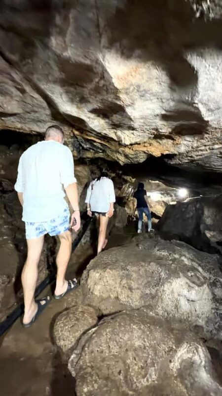 Khao Sok: Bamboo rafting, ancient cave temple, local farm. - An Overview of the Tour Experience