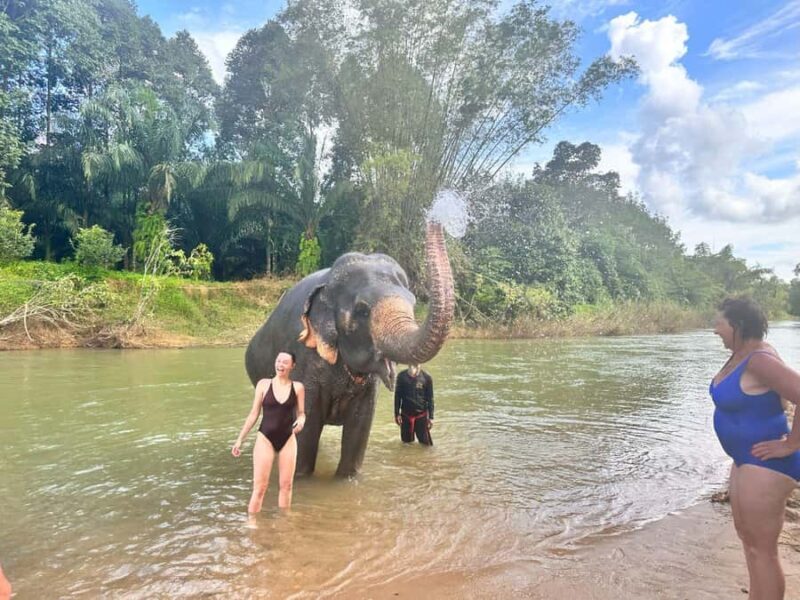 Khao Sok: Elephant Day Care, & Bamboo Rafting Day Tour - An Honest Look at the Khao Sok Experience